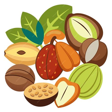 Set Of Different Nuts Clip Art And Vector Design With White Background