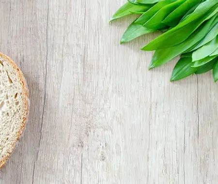 FDA Net Weight Labeling Mastering Compliance In F B