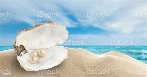 바다 근처의 모래 사장에 흰 진주가 달린 굴 껍질을 엽니 다 텍스트를 위한 공간 0명에 대한 스톡 사진 및 기타 이미지 0명 굴 귀한 보석 Istock