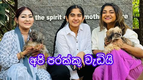 මෙතනට යනවානම් මේ වැරැද්ද කරන්න එපා Dambulla Cave Temple Aukana