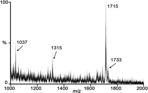 Positive Ion Esi Mass Spectrum Of A 100 μm Solution Of 1na In