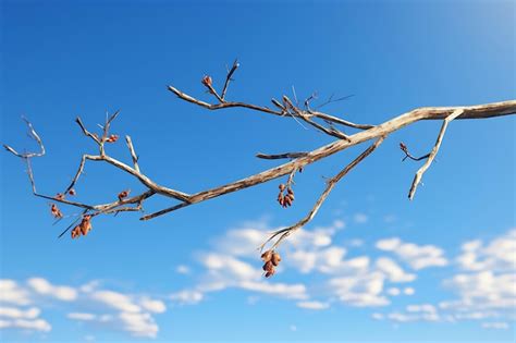 Premium Ai Image Photo Of Symbolic Broken Tree Limbs