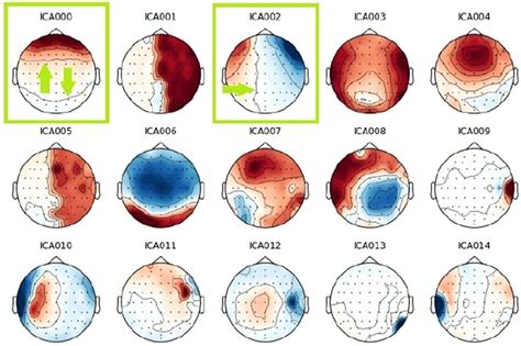 The First 15 Ica Components From The Recording Indicating Manually