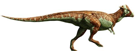 Pachycephalosaurus Dinoworld Usa Jurassic Park Fanon Wiki Fandom