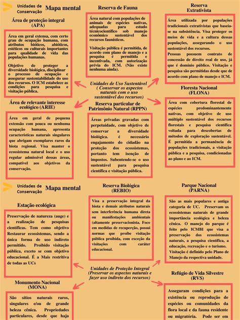 Mapas Mentais Ucs Pdf Sustentabilidade Biodiversidade