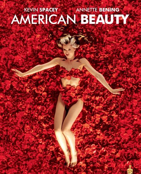New On Netflix December 2014 American Beauty Broadchurch And More