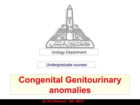 Congenital Anomalies Ppt Ppt