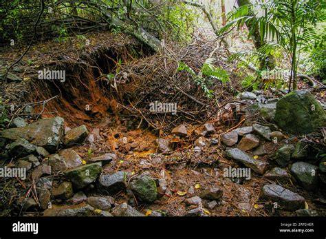 Earth And Trees Washed Away During Landslip Caused By Extreme Rainfall