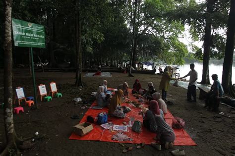 Pemkot Bogor Bakal Sulap Cifor Jadi Kawasan Wisata Kebun Raya 2 Ini