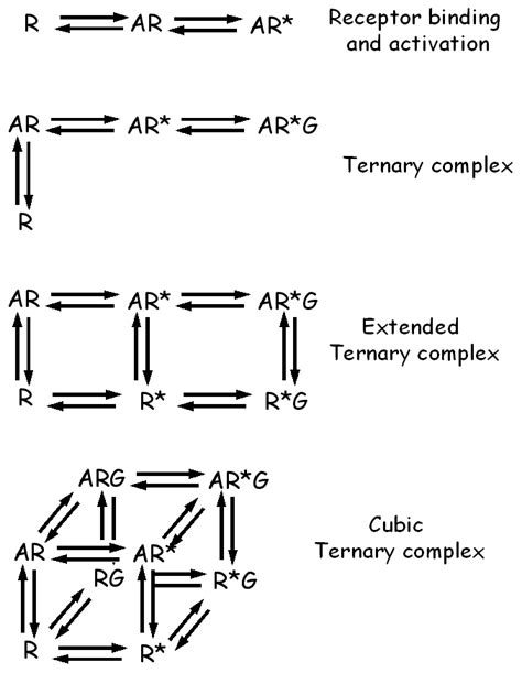 4 Models Describing Gpcr Systems The Traditional Model Merely Download Scientific Diagram