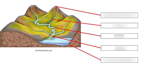 APES Unit 4 Watersheds Diagram Quizlet