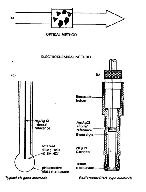 11 Three Conventional Transducers Used For Biosensor Development A