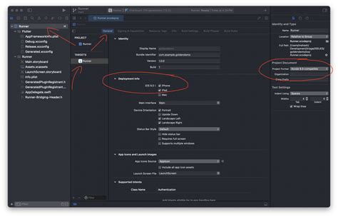 Flutter App Not Running On An Ios Simulator Issue Flutter