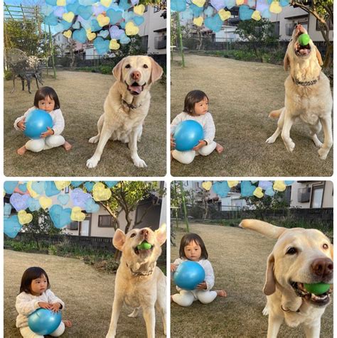 モモちゃん起承転結⑬わんこちゃんと 絵本を抱えてお茶を手に陽だまりへ 胎内記憶 教育と絵本のある暮らしより