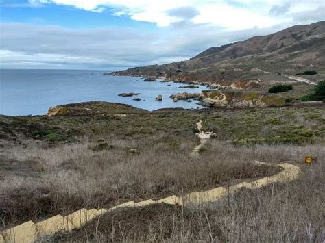 Rocky Ridge Trail And Whale Peak Trail Loop — Garrapata State Park
