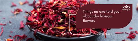 Hidden Facts About Dry Hibiscus Flower