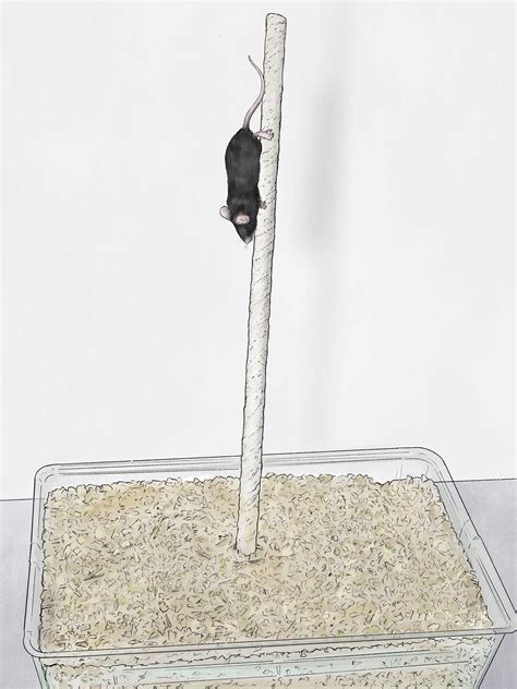Pole Test Scantox Contract Research Organization