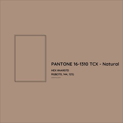 Pantone 16 1310 Tcx Natural Complementary Or Opposite Color Name And