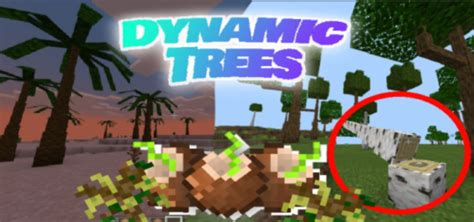 Download Dynamic Trees Mod For Minecraft 120 119 118 For Free