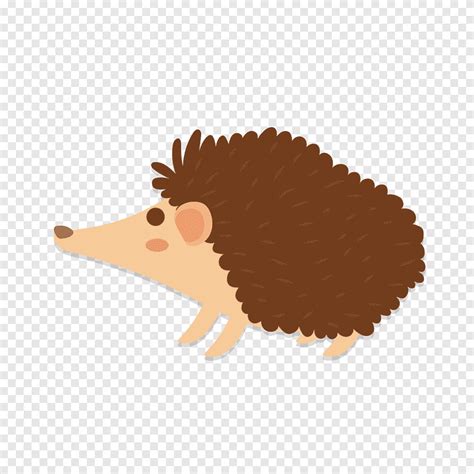 Perfect Hedgehog Png Download Free At Gpng Net