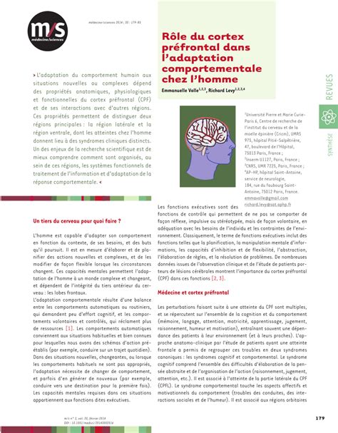 Pdf Role Of The Prefrontal Cortex In Human Behavioral Adaptation