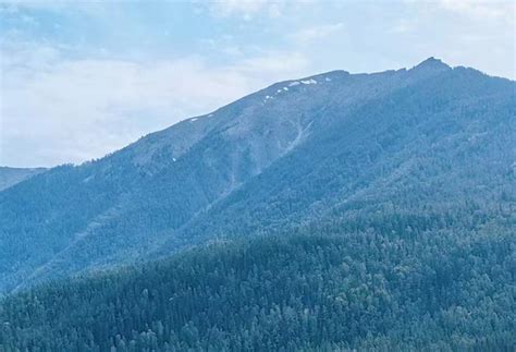 2022年保险公司理赔数据 知乎