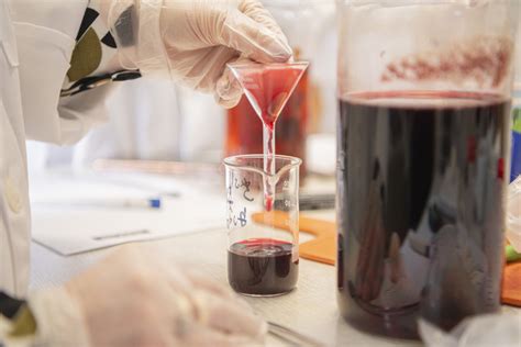 ვორქშოპი საბუნებისმეტყველო საგნების მასწავლებლებისთვის Ge