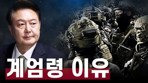 계엄령을 선포한 진짜 이유 Youtube