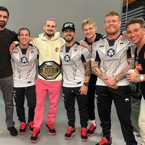 What Is Stevewilldoit Net Worth His Earning Sources 2024 All About Peoples