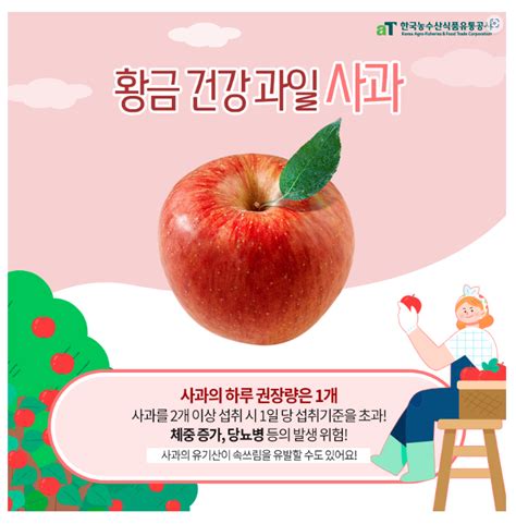 슬기로운 과일 섭취 생활 어떻게 먹을까 재단법인 광주남구로컬푸드센터
