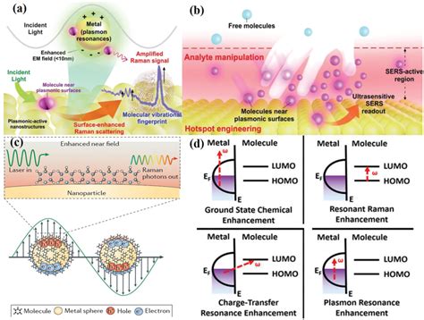 A Schematic Of Lspr Effect Of Noble Metal Nanoparticles For Sers