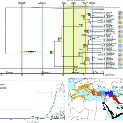 Ancestral Character Reconstruction Likelihood Based Ancestral
