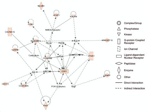 Ipa Network Analysis Reveals Association Of Genes Related To