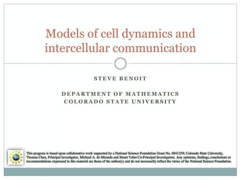Ppt Models Of Cell Dynamics And Intercellular Communication