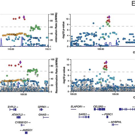 Prediction Of CAD Severity 0 No CAD 1 Mild CAD 2 Moderate CAD 3 Download Scientific