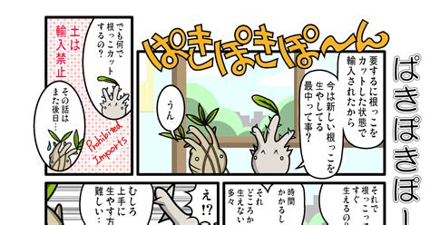 ぱきぽきぽーん ぱきぽきぽーん⑩ まいむ＝まいむ（ドグラマグロ）のマンガ 漫画 パキポディウム 塊根植物 Pixiv