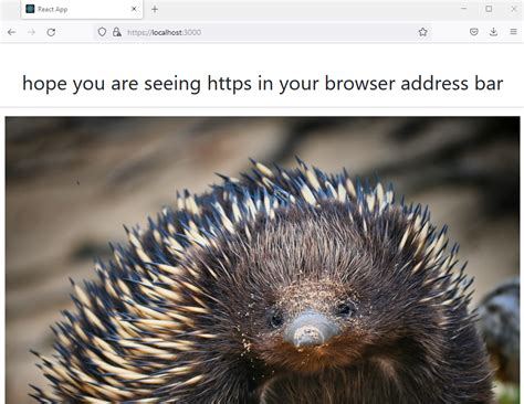Configuring Auth0 Sample With Scopes — April 2022 Update By Jay