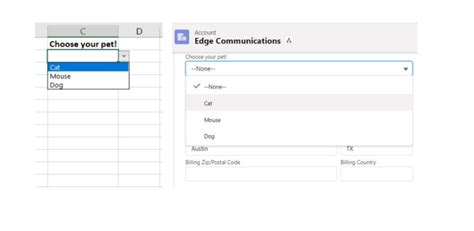 Picklist Fields In Salesforce What S New In Summer 2022 Release