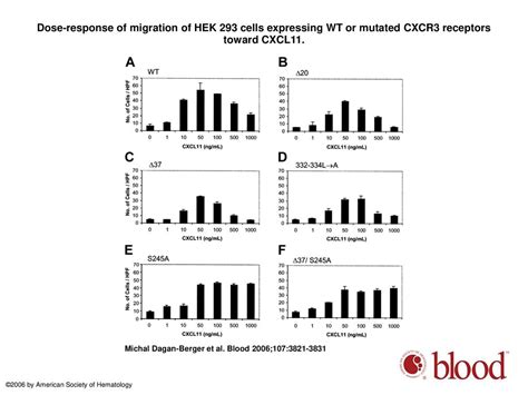 Role Of Cxcr3 Carboxyl Terminus And Third Intracellular Loop In Receptor Mediated Migration