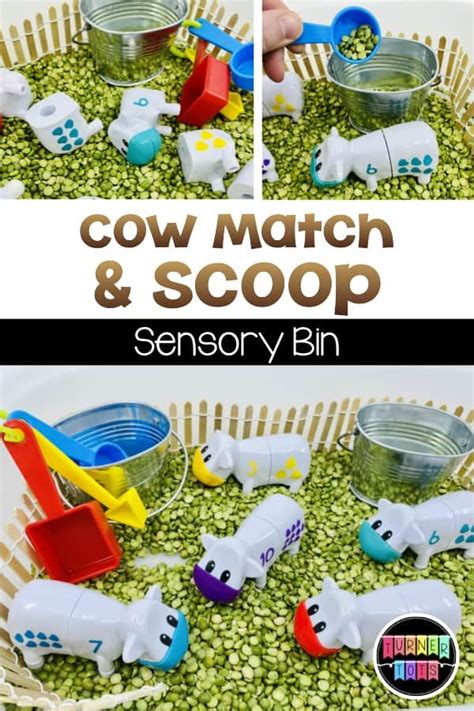 5 Wild West Fine Motor Activities For Spur Of The Moment Fun