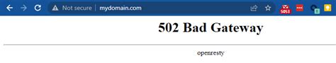 Nginx Proxy Manager And 502 Bad Gateway General Support Unraid