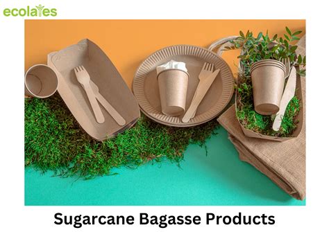 Comparing Sugarcane Bagasse And Paper Products By Ecolates