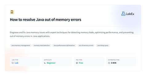 How To Resolve Java Out Of Memory Errors Labex