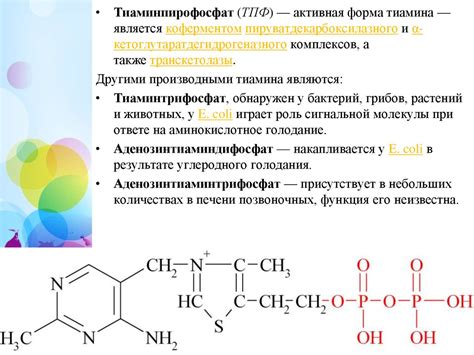Витамин B1 - презентация онлайн