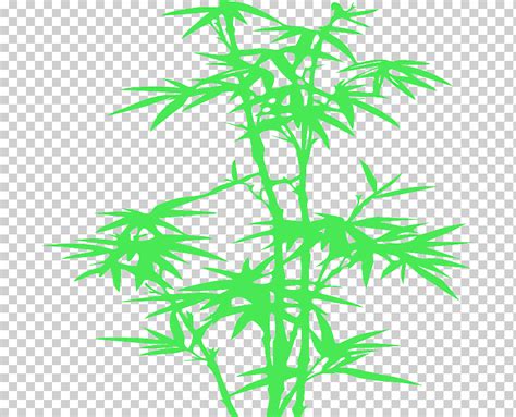 Hoja planta planta tallo árbol cáñamo familia flor png Klipartz