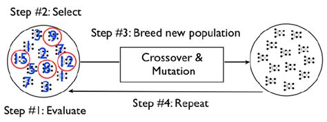 The Basic Steps Of Neuroevolution Download Scientific Diagram