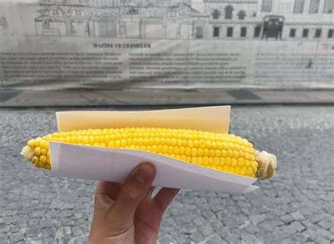 Premium Photo Cropped Hand Holding Corn