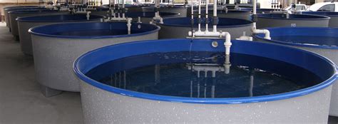Ozone Aquaculture Machine India Technozone