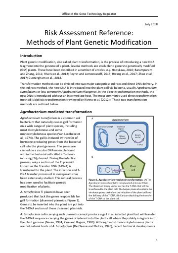 Risk Assessment Reference Documents Office Of The Gene Technology