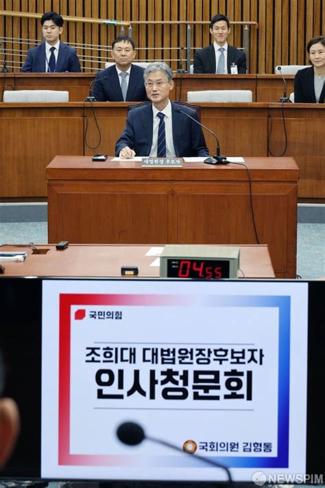 조희대 대법원장 후보자 인사청문회 네이트 뉴스